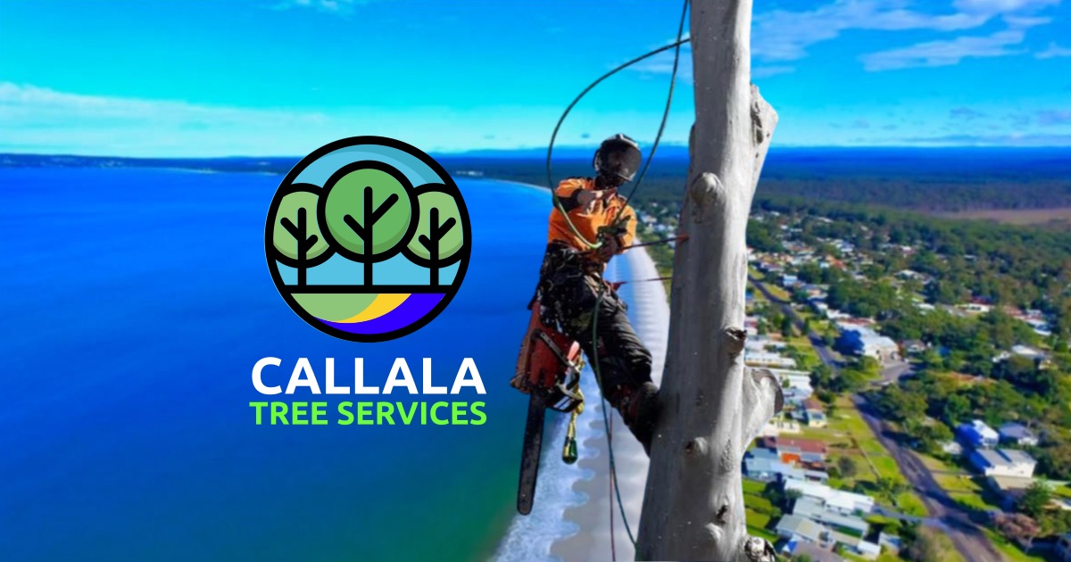 Home - Callala Tree Services ☎️ 0433 711 200‬